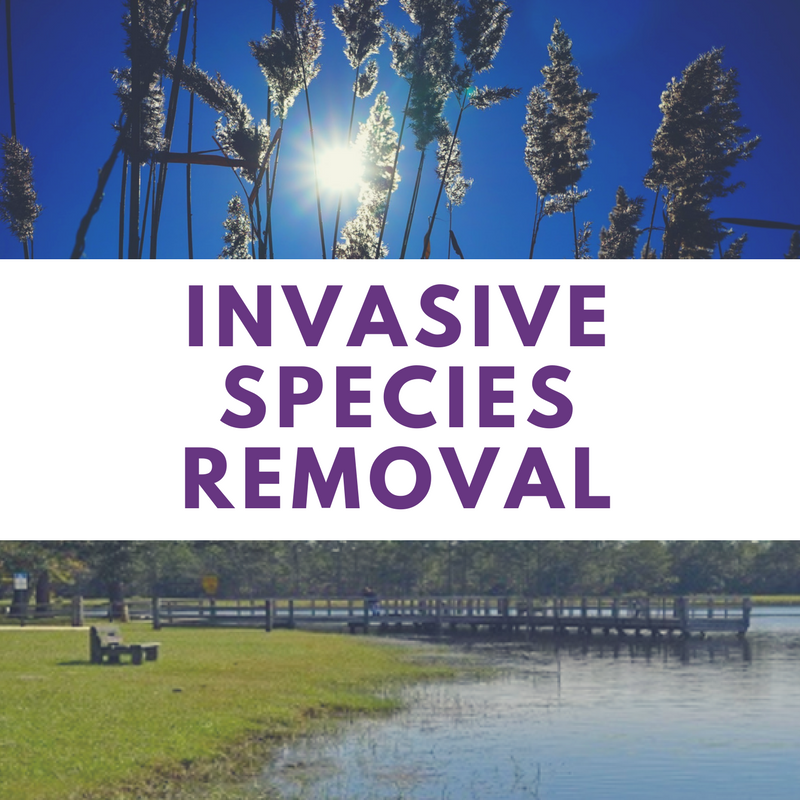 Choctawhatchee Basin Alliance