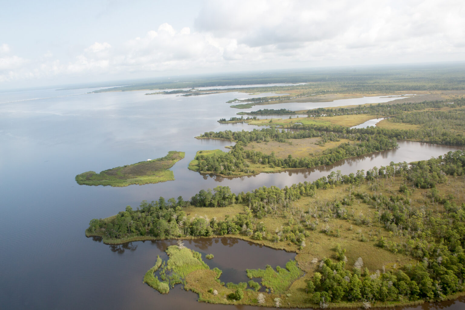 A bird’s-eye view of the Choctawahtchee River delta, where the braided ...
